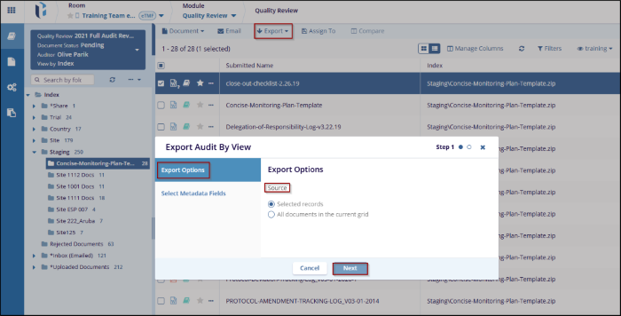 Export Audit by View